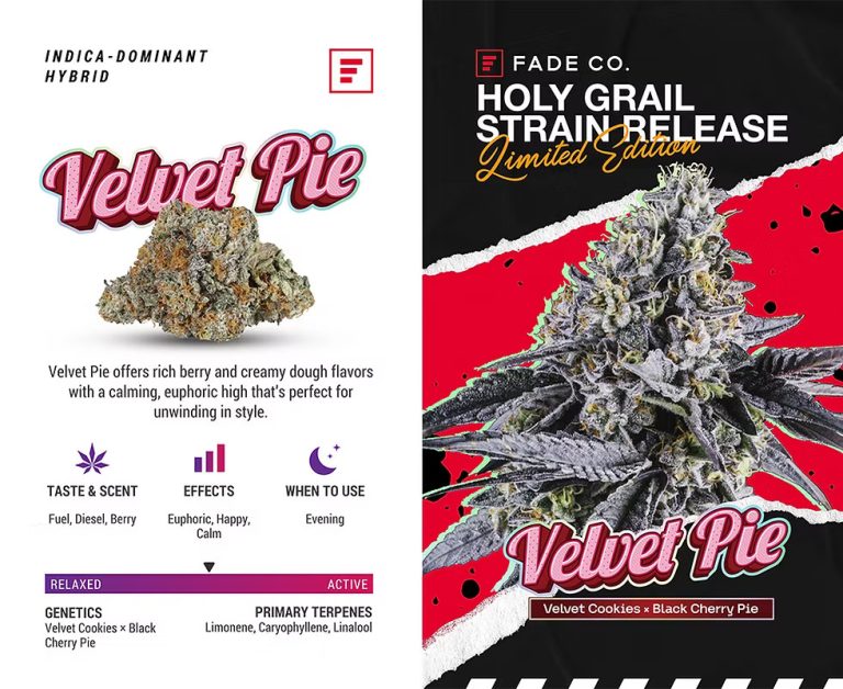 Velvet Pie Strain from Fade Co - THC Content, Terps & Reviews